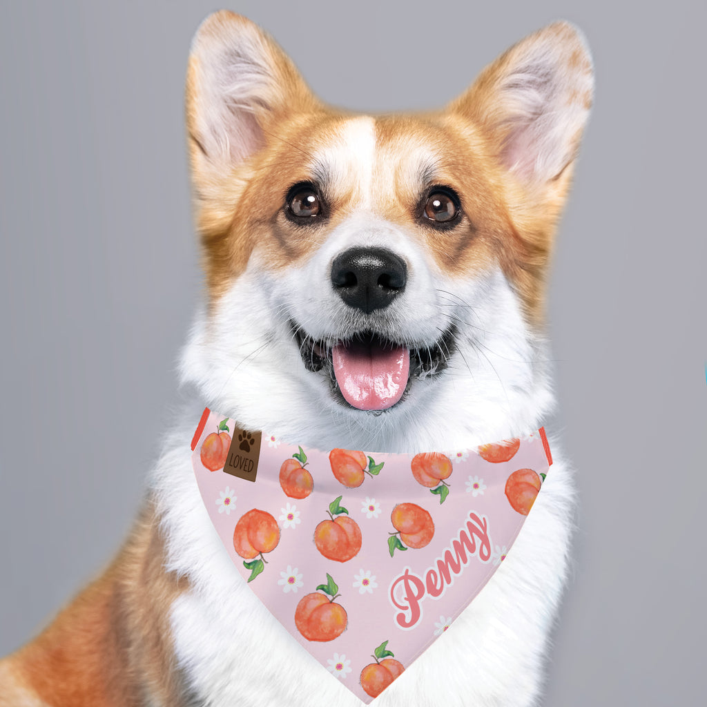 Peaches Pattern Pet Bandana – Personalized Planet